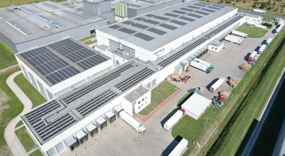 Frigo Logistics mimo trudnych warunków odnalazło się na nowym rynku