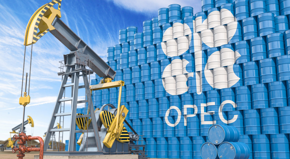 To może uderzyć w ceny ropy. Złe wieści dla krajów OPEC