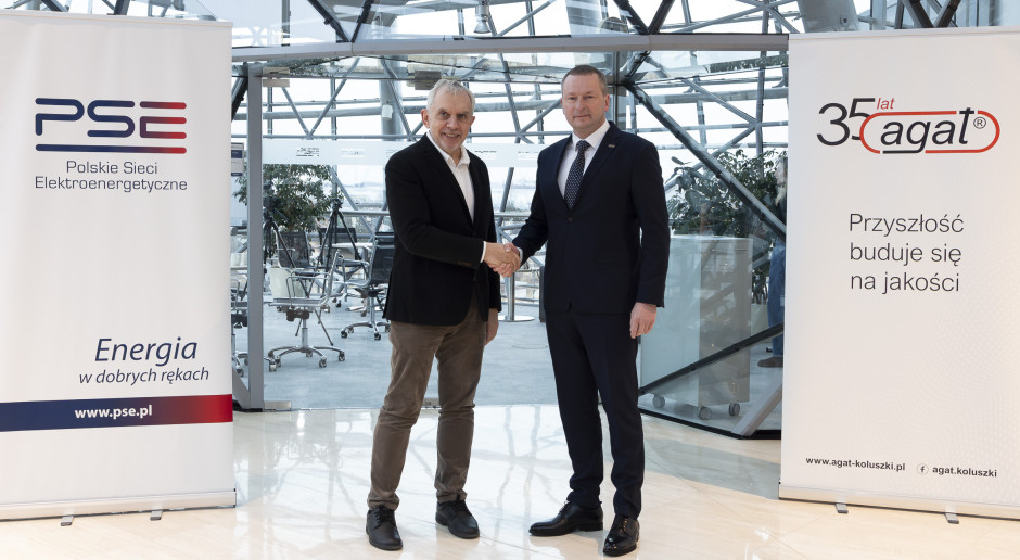 Bardzo ważna infrastruktura zostanie zmodernizowana. PSE dały zlecenie ...